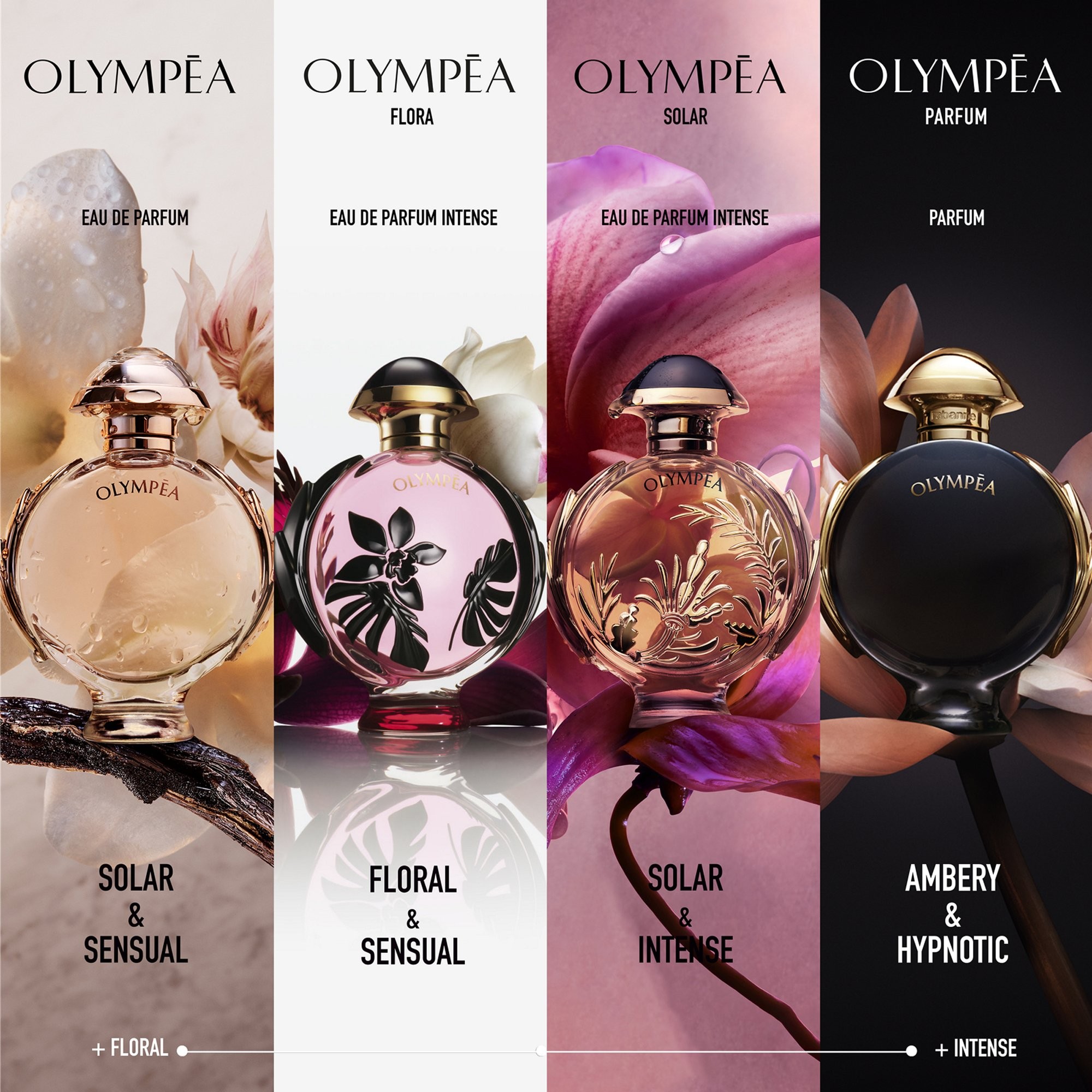 Solar Olympea Parfum 80 Ml Rabanne Olympéa Solar Eau de Parfum Spray ...